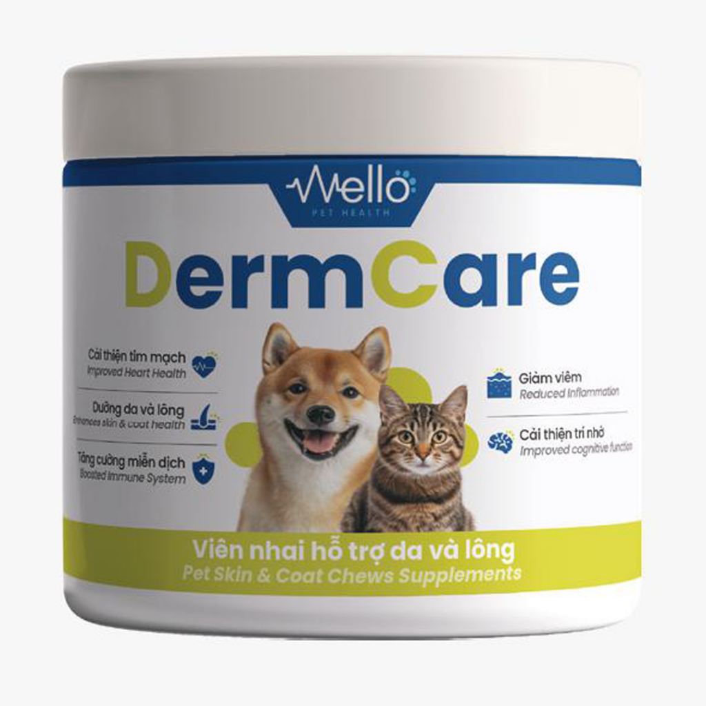 DermCare – Wello